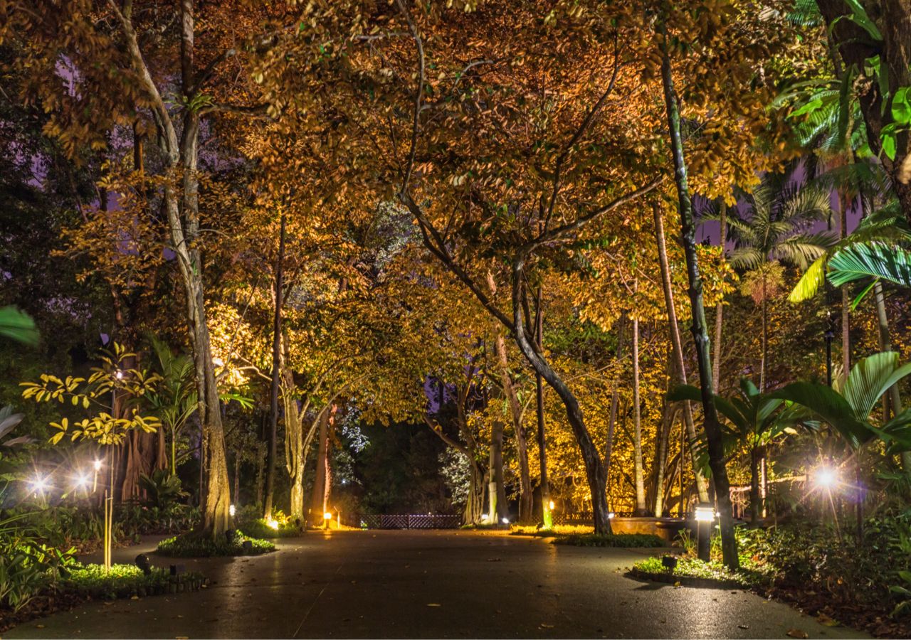 Outdoor LED Lighting Solutions - Glow and Sparkle